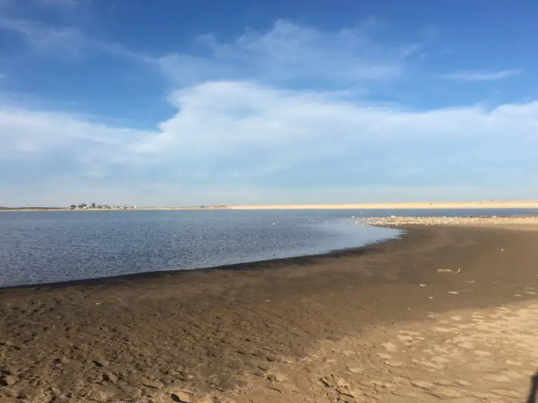 Balmorhea Lake | Birding Locations