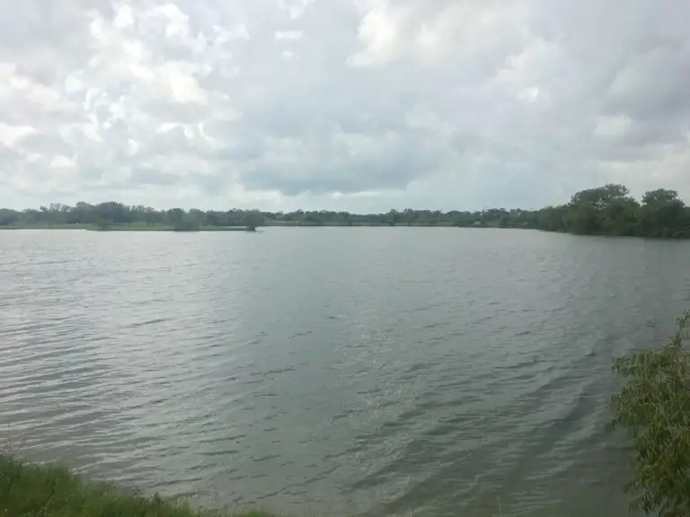 Saxet Lakes | Birding Locations