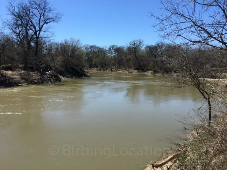 Trinity River Audubon Center | Birding Locations